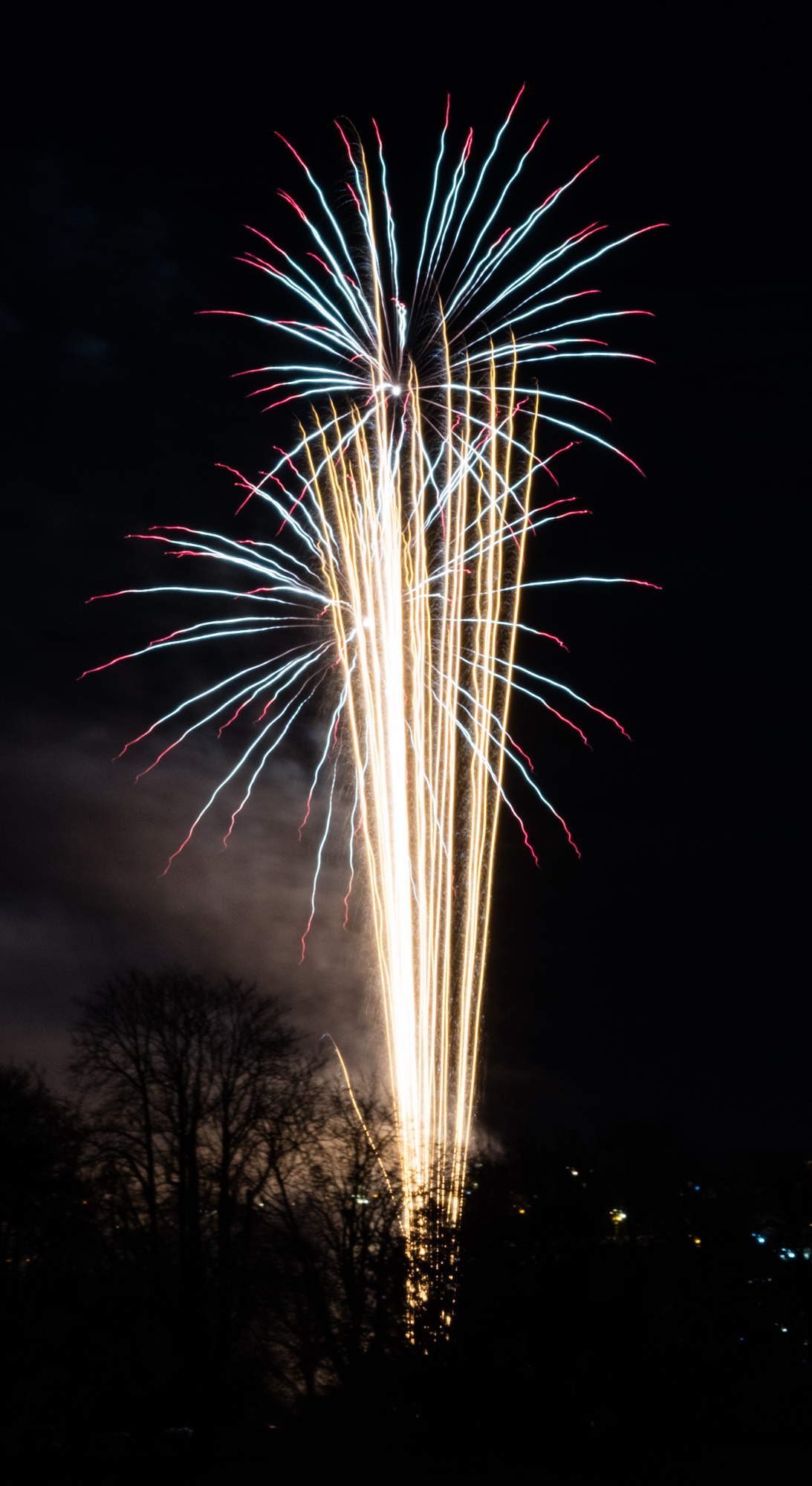 Fireworks in the park - Friends of Preston Park
