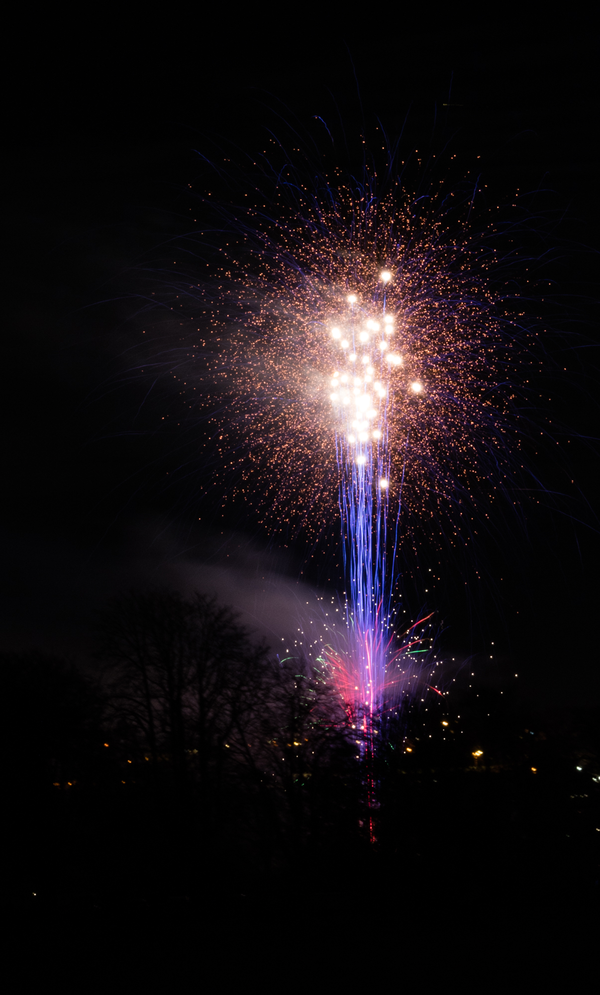 Fireworks in the park - Friends of Preston Park