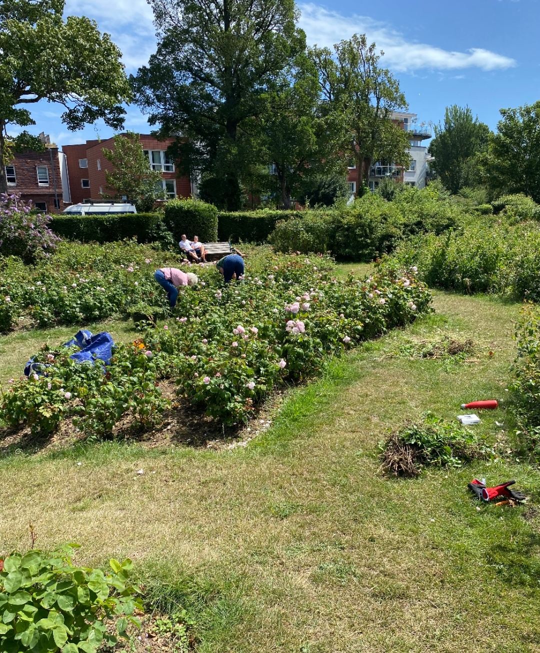 Extra weekend gardening session in the Rose Garden - Friends of Preston ...