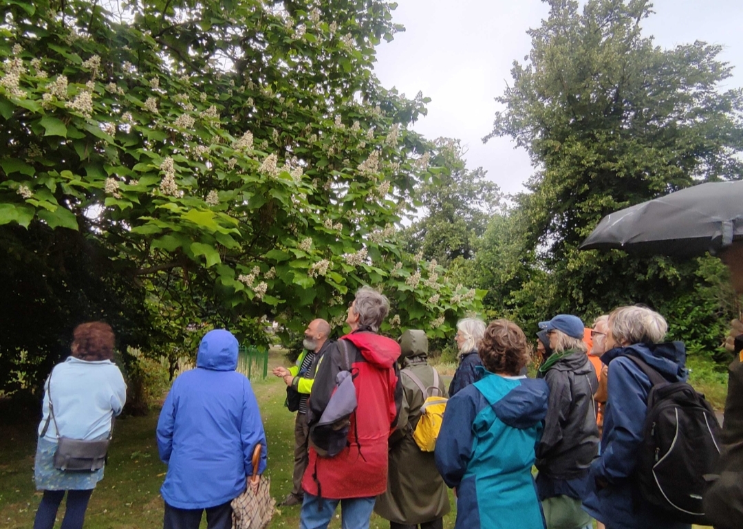 Tree walk with Alister Peters - Friends of Preston Park
