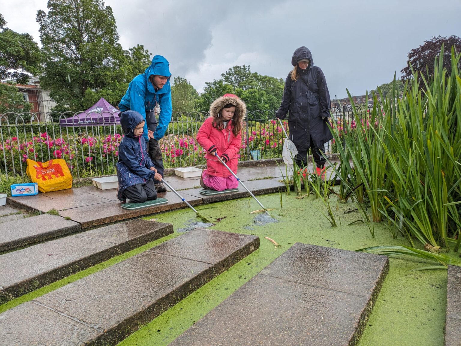 Friends of Preston Park - The community for users of Preston Park in ...