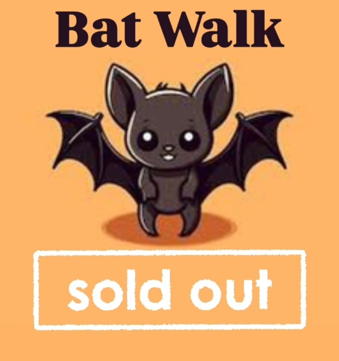 FoPP Bat Walk fully booked - Friends of Preston Park